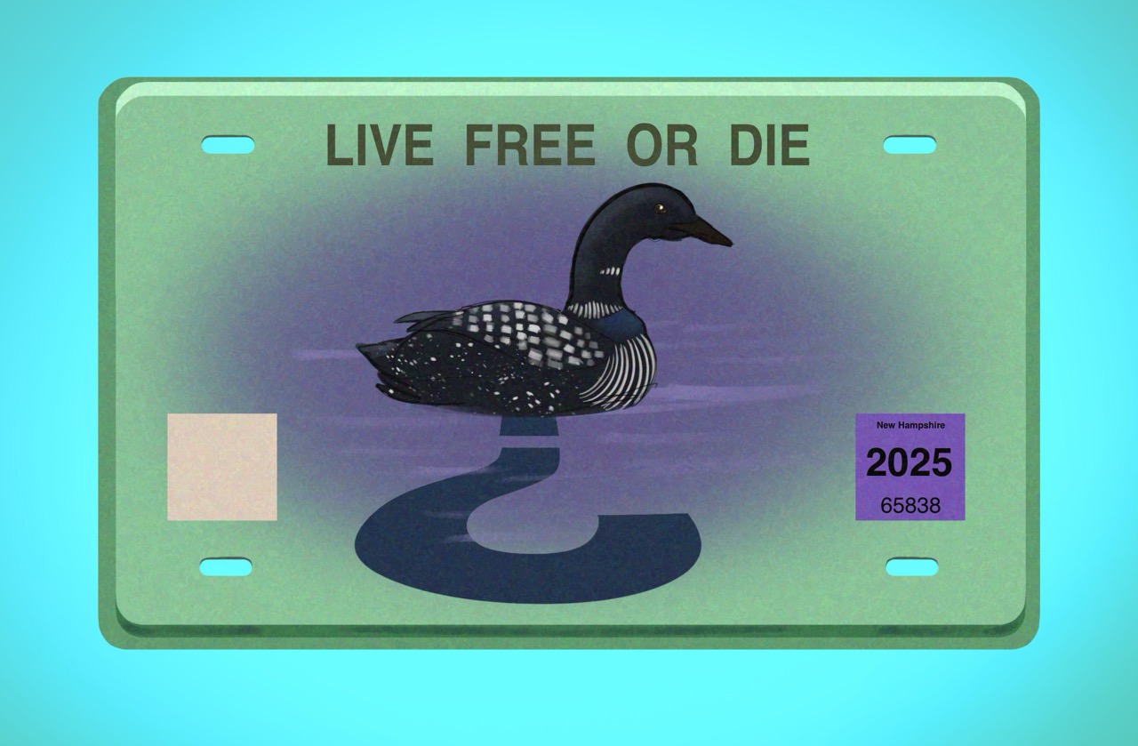 N.H. looks to launch loon license plate – The Equinox