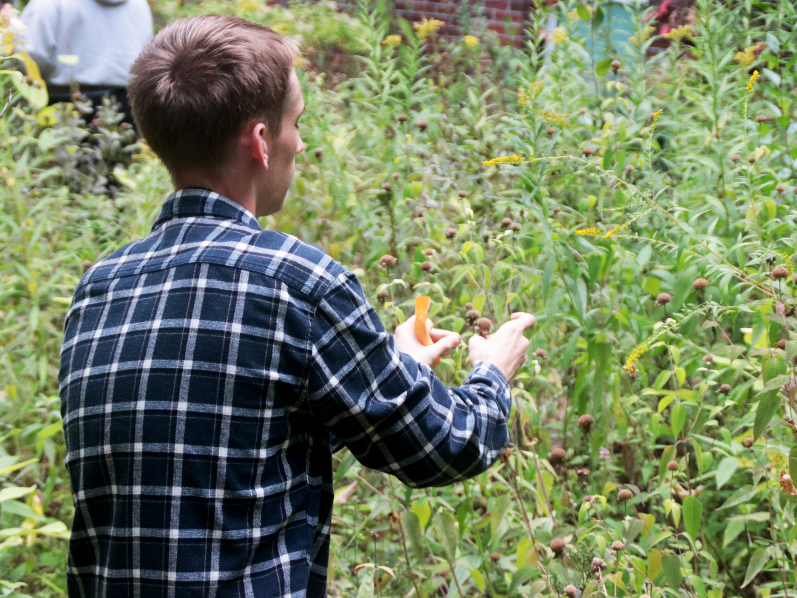 Refreshing the environment at ESSC Native Seed Harvesting – The Equinox