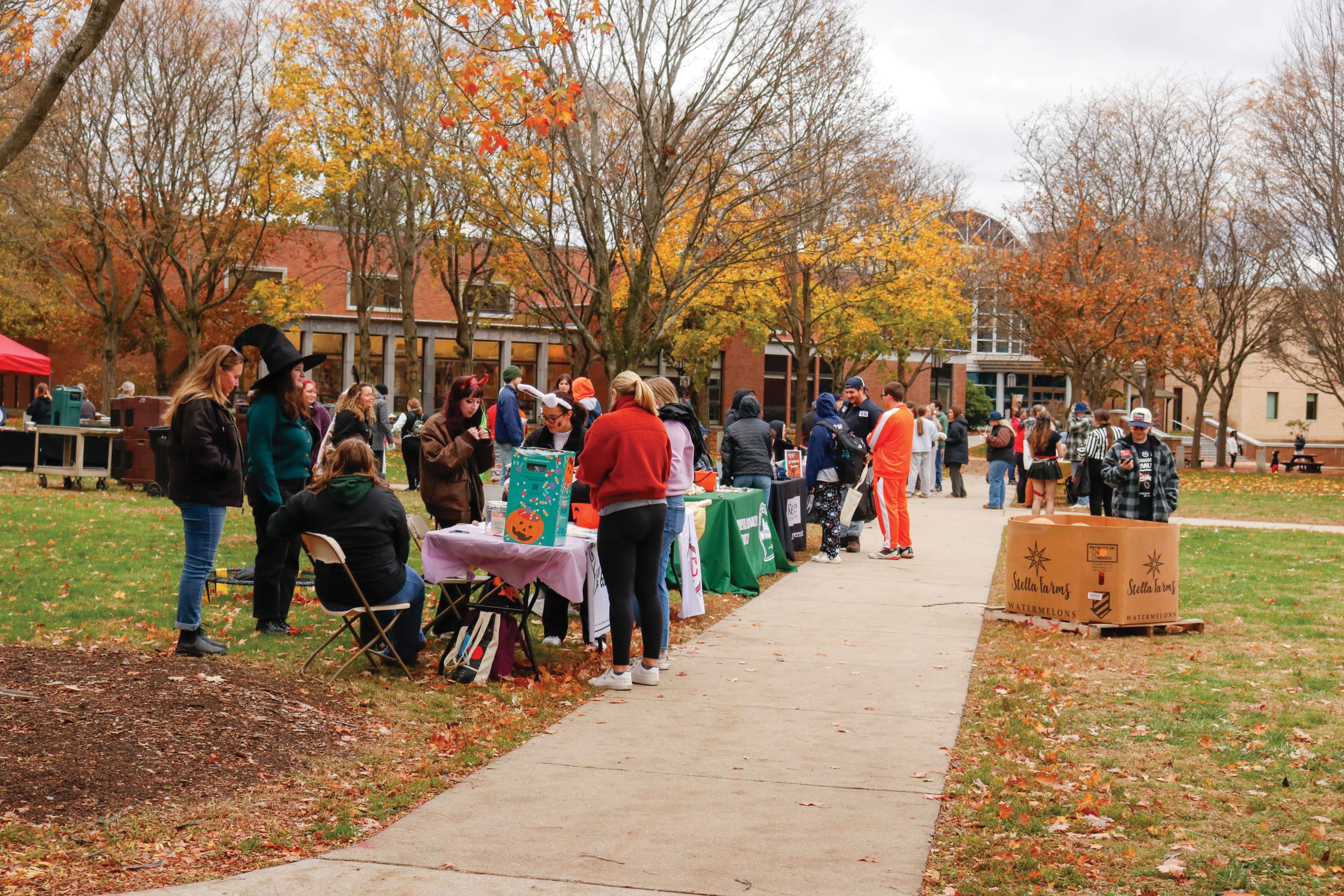Pumpkin Palooza packs the quad – The Equinox